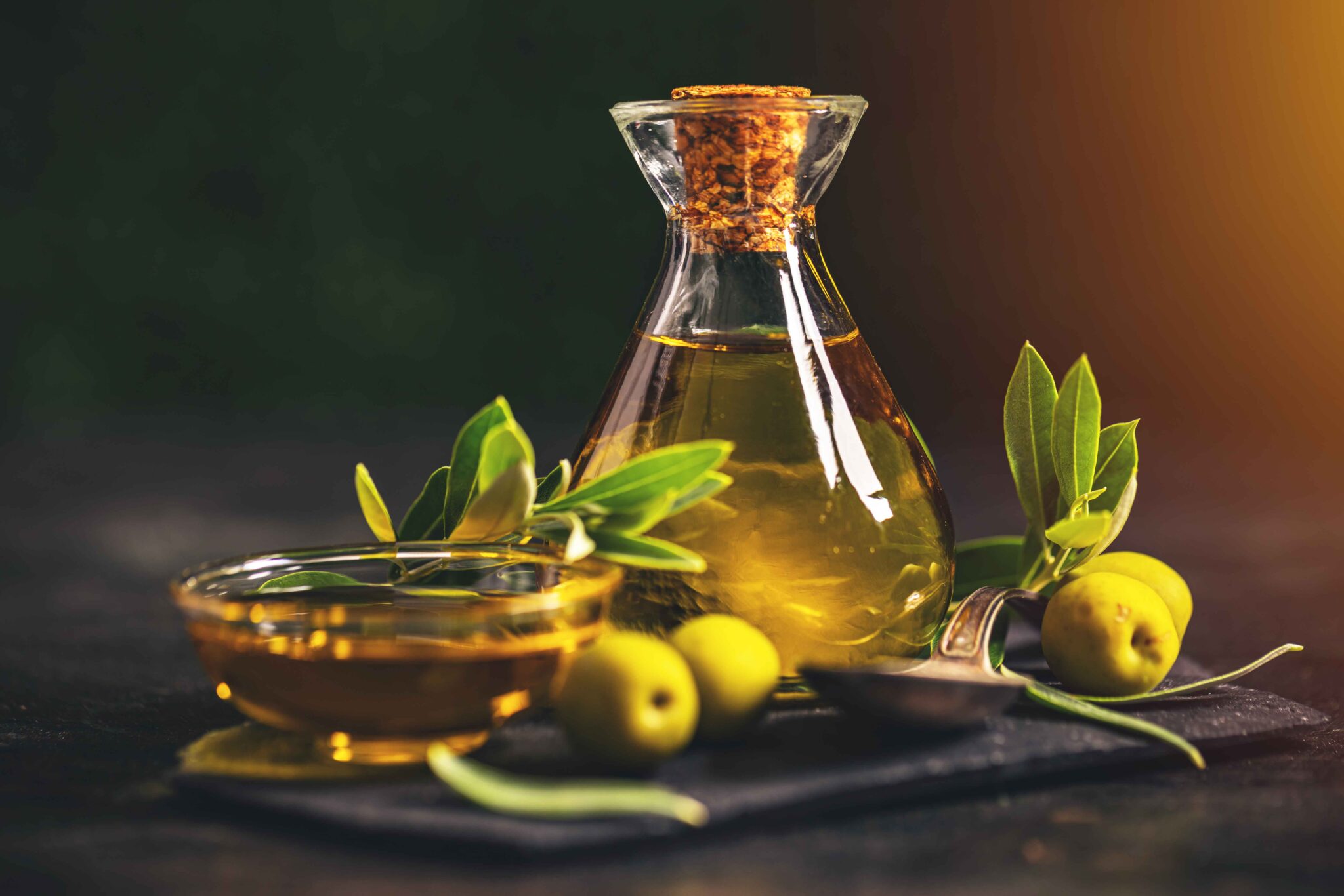 The Oldest Olive Tree in the World – The World of Olive Oil