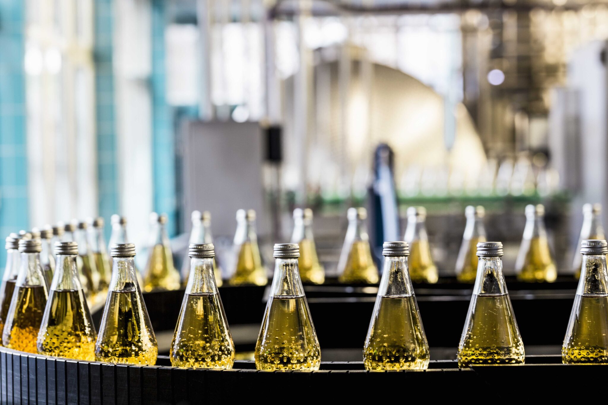 Silicon Valley + Napa Valley: A Game-Changer for the Future of Olive ...